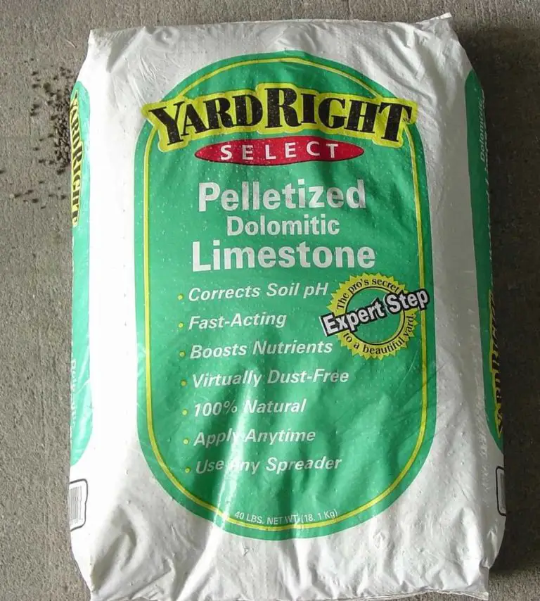 Do Roses Like Lime: (How Much, When, and How to Apply)