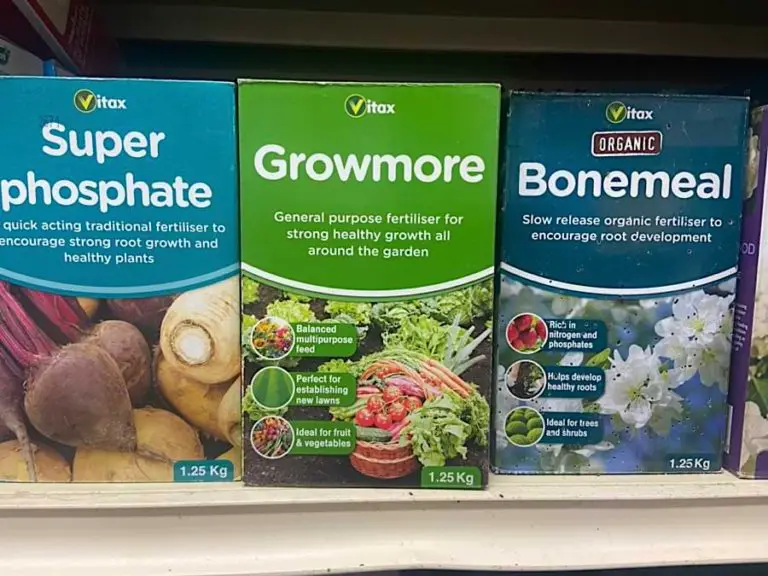 Is Bone Meal Good for Roses? (Types, When, and How to Use)