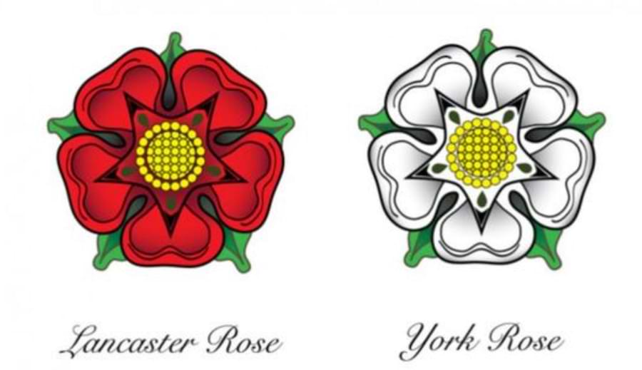 What Roses Symbolize: In life, Love, Relationships, and More