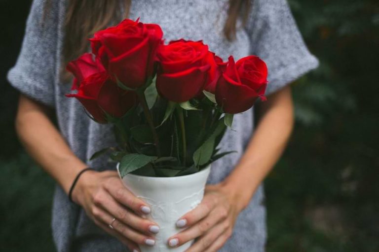 What Roses Symbolize: In life, Love, Relationships, and More
