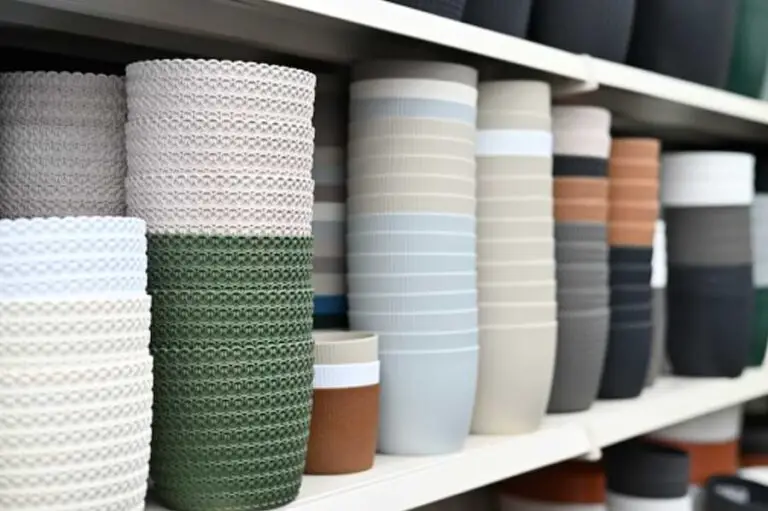 Best Pots for Roses: Types, Pros, and Cons, Which Is Best